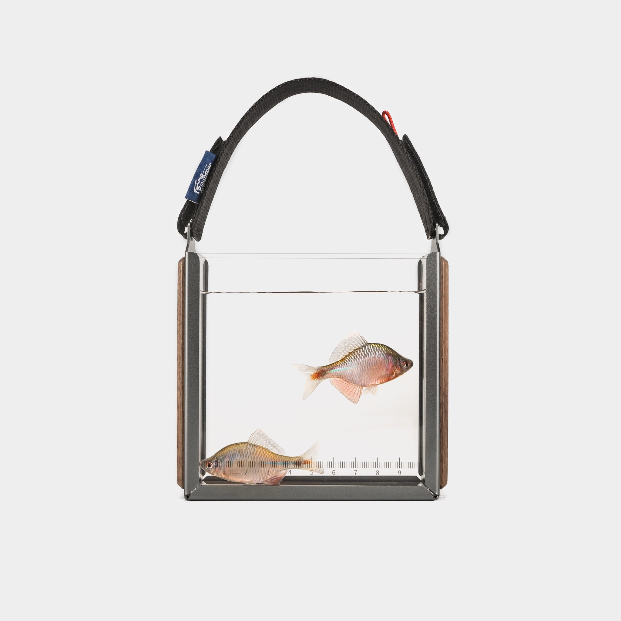 PRODUCT – KOKOE小蛙